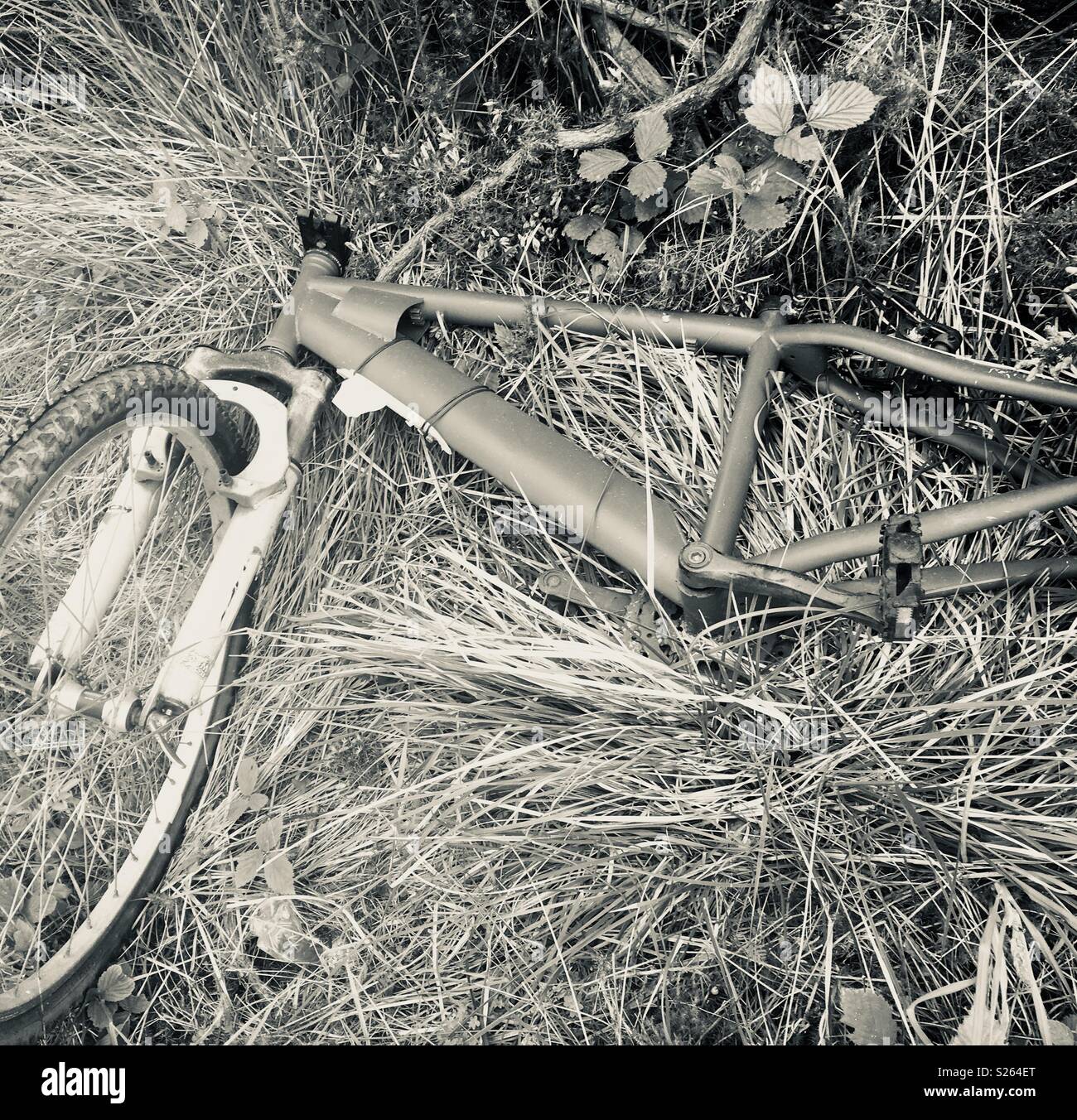 Abandoned bicycle.....one wheel and no handlebars Stock Photo - Alamy Abandoned bicycle.....one wheel and no handlebars Stock Photo - Alamy