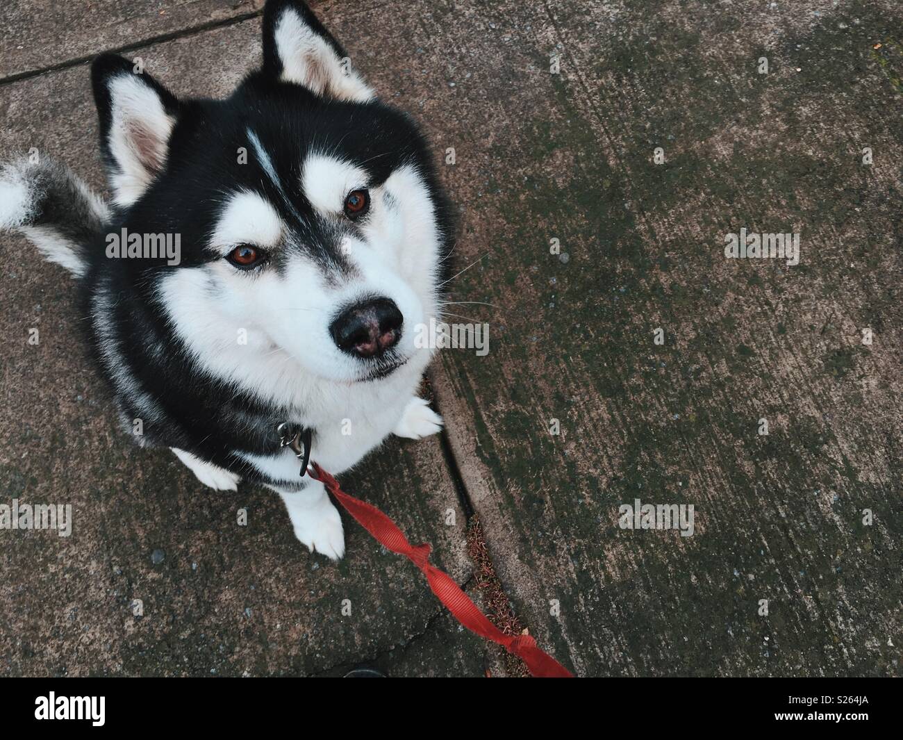 Camera angle hi-res stock photography and images - Alamy