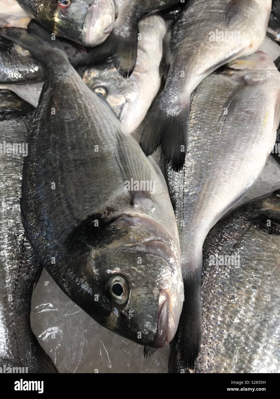 Fish at a fish market Stock Photo - Alamy