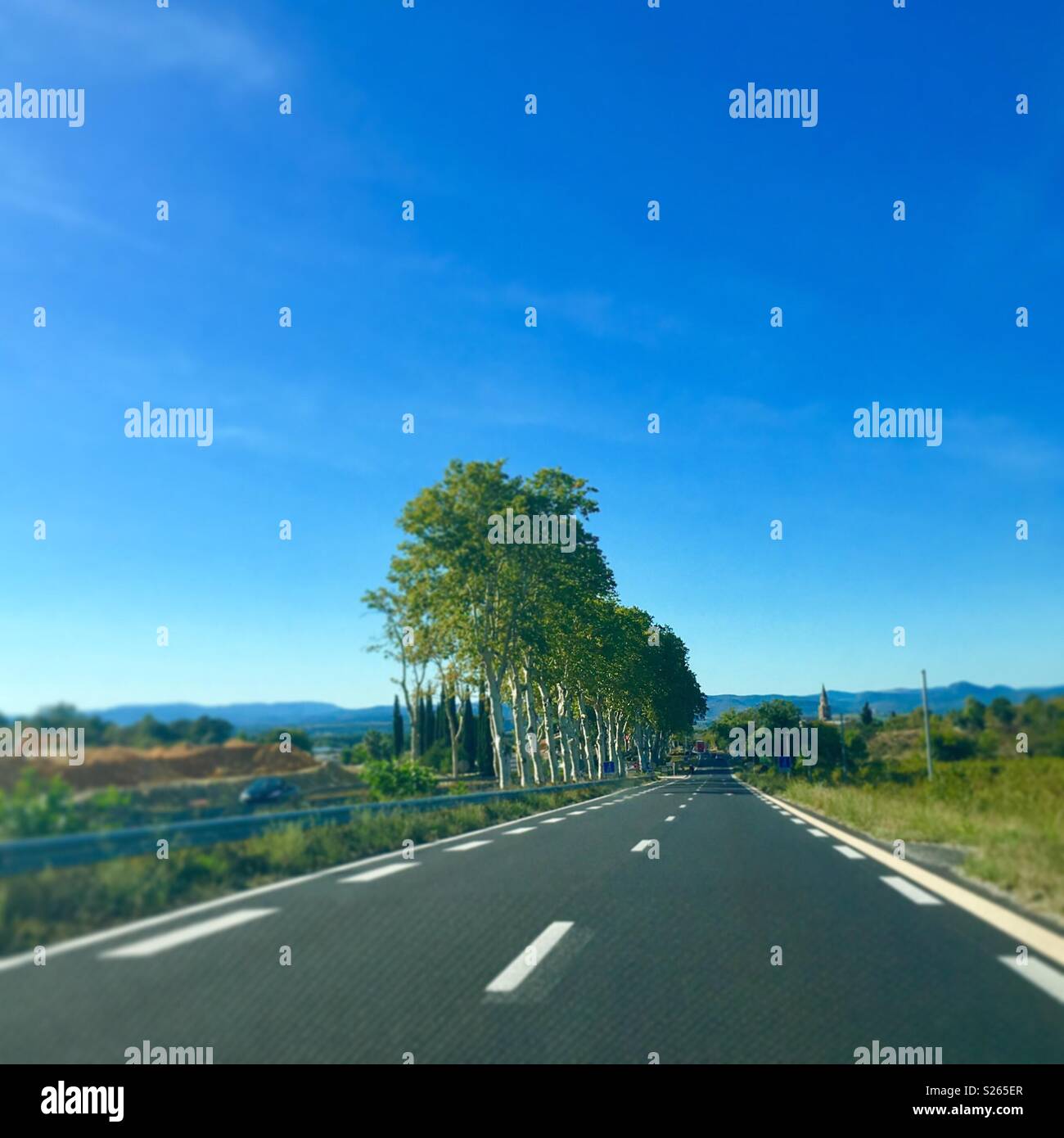 France plane trees hi-res stock photography and images - Alamy