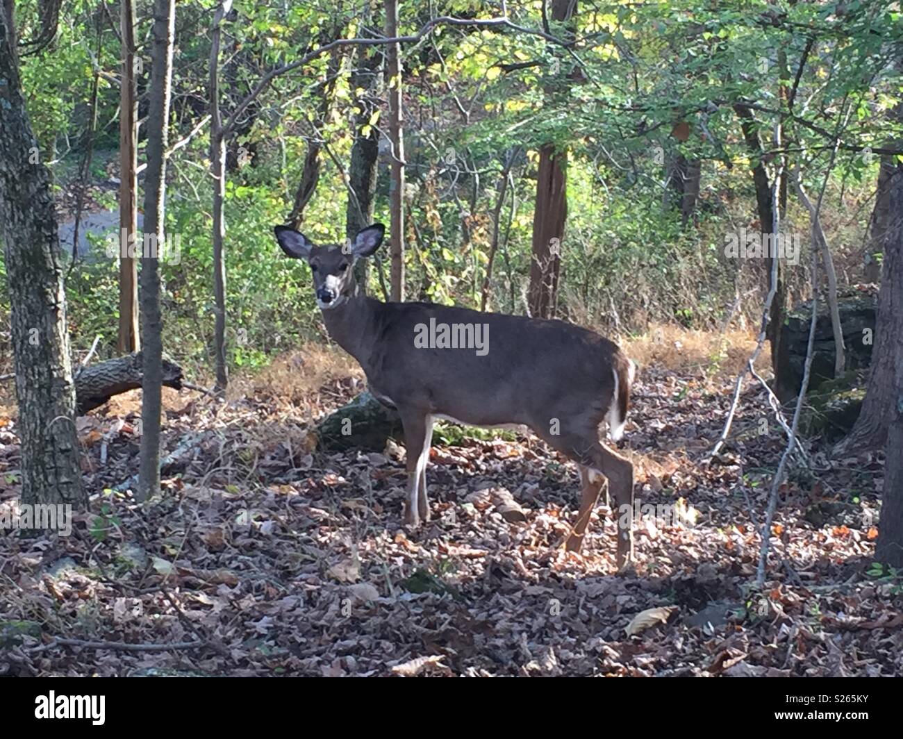 Hello large hi-res stock photography and images - Alamy