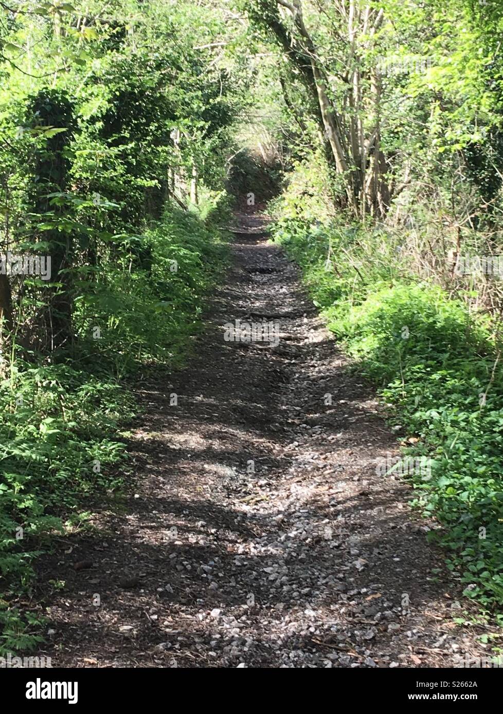 Overgrown pathway hi-res stock photography and images - Alamy
