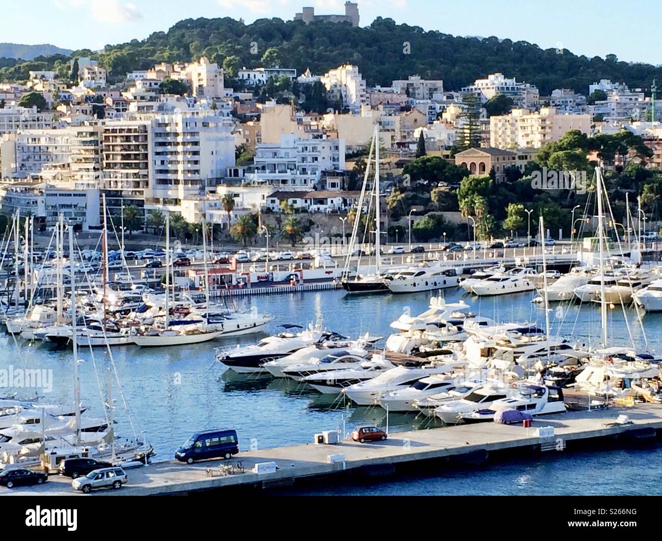 Palma cruise port Stock Photo - Alamy
