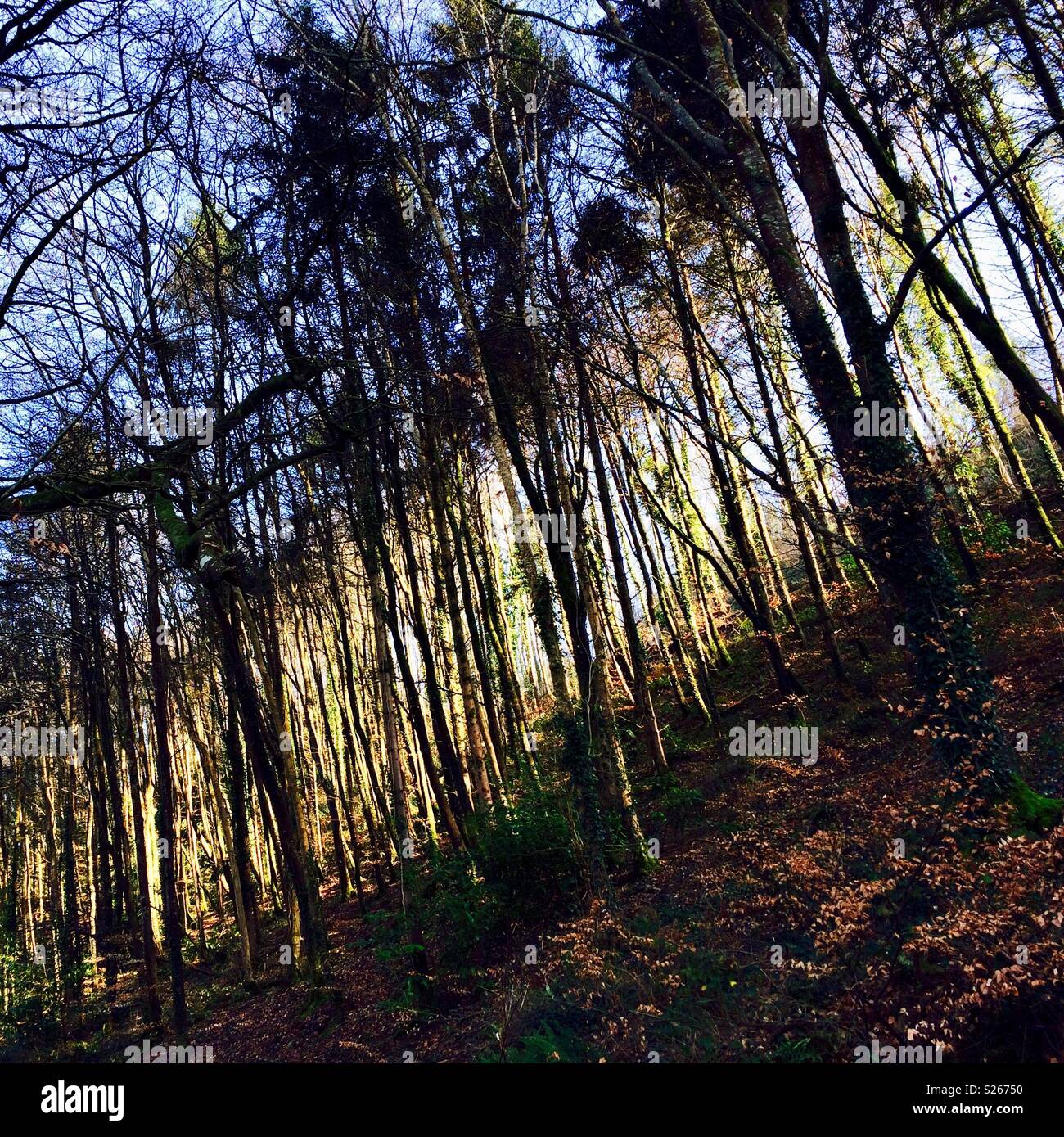 Pomeroy hi-res stock photography and images - Alamy