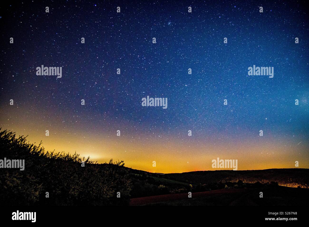 Romantic forest hi-res stock photography and images - Alamy