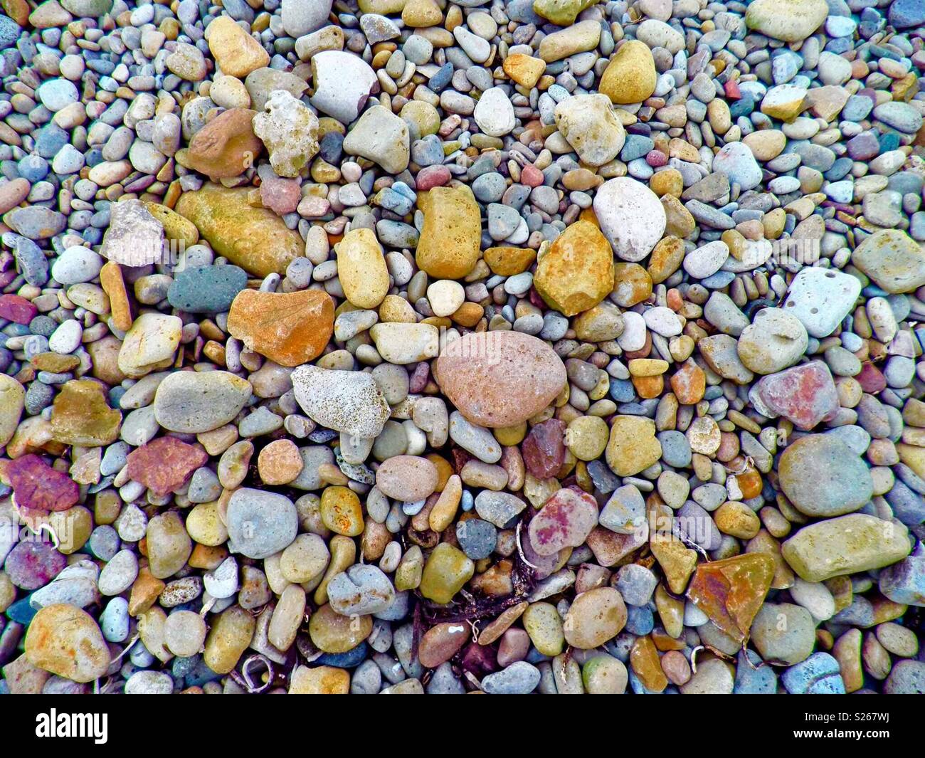Pebbles on the beach Stock Photo - Alamy