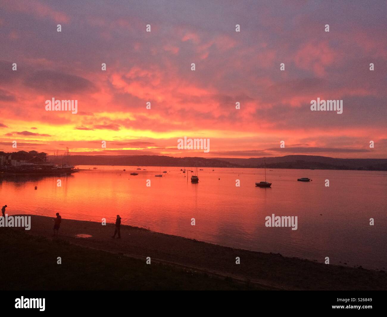 Exmouth Estuary High Resolution Stock Photography and Images - Alamy
