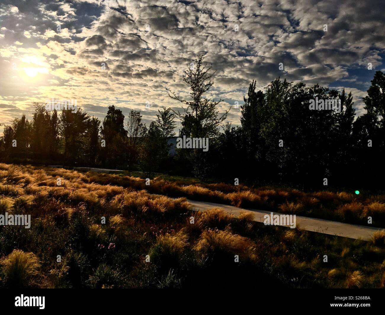 Electricidade hi-res stock photography and images - Alamy