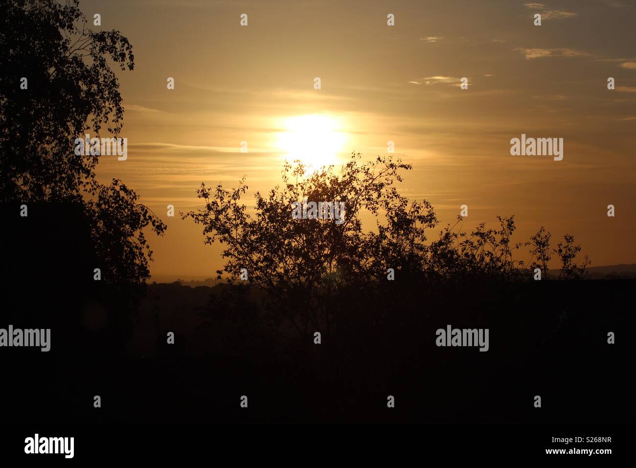 Evening summer sun hi-res stock photography and images - Alamy