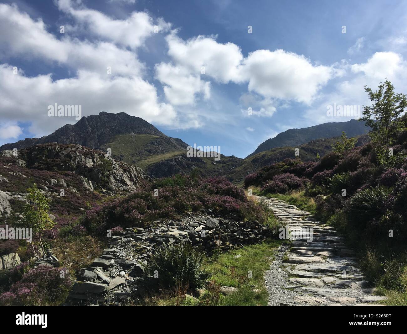 National trust for snowdonia hi-res stock photography and images - Alamy