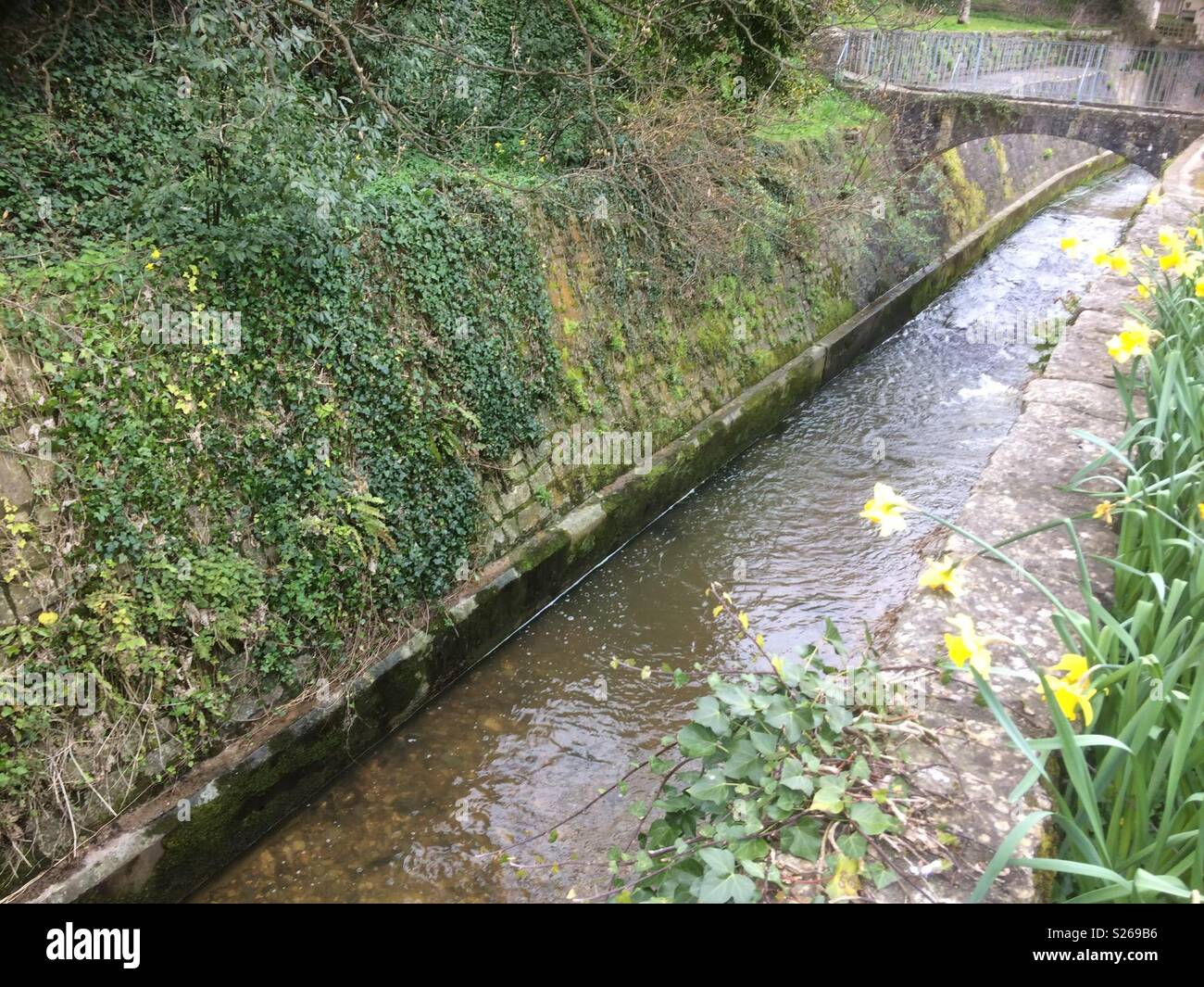 Spring and stream Stock Photo - Alamy