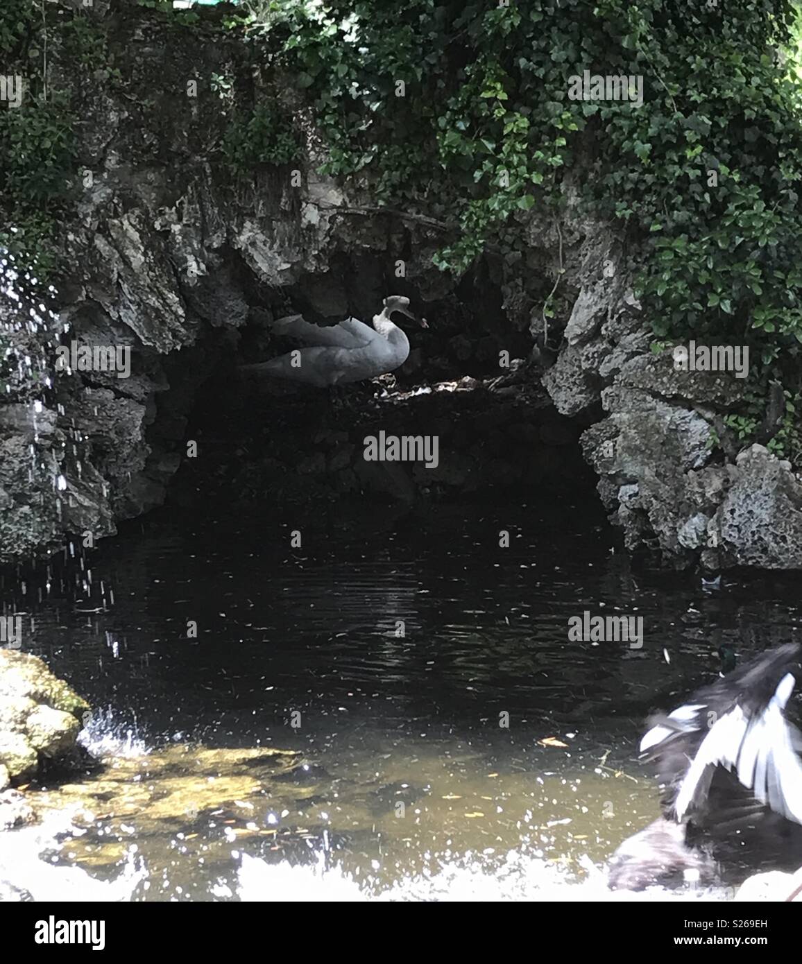 Cave pond hi-res stock photography and images - Alamy
