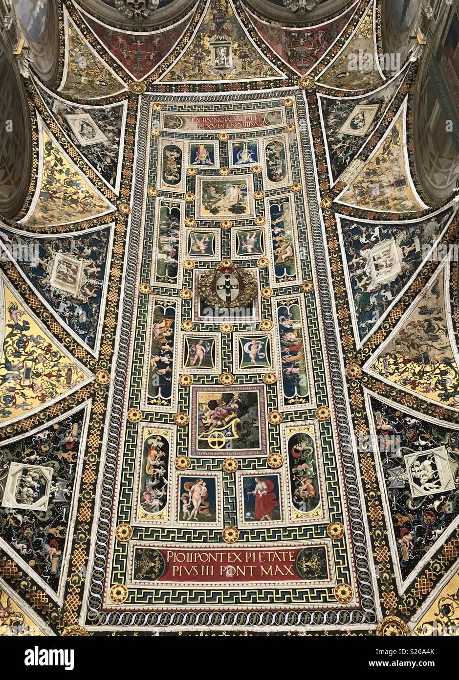 The ceiling im the library at the Duomo in Siena, Italy Stock Photo - Alamy