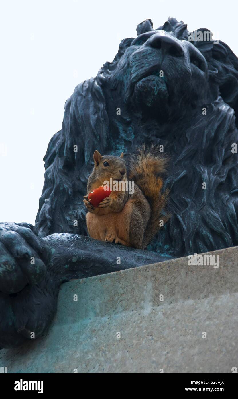 Oblivious hi-res stock photography and images - Alamy