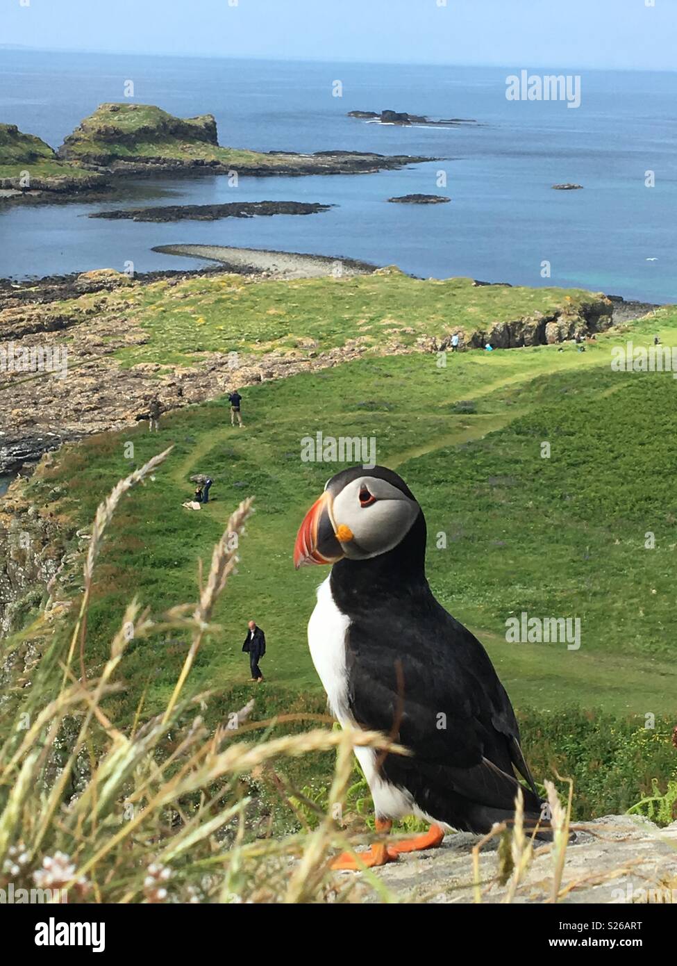 Lunga scotland hi-res stock photography and images - Alamy