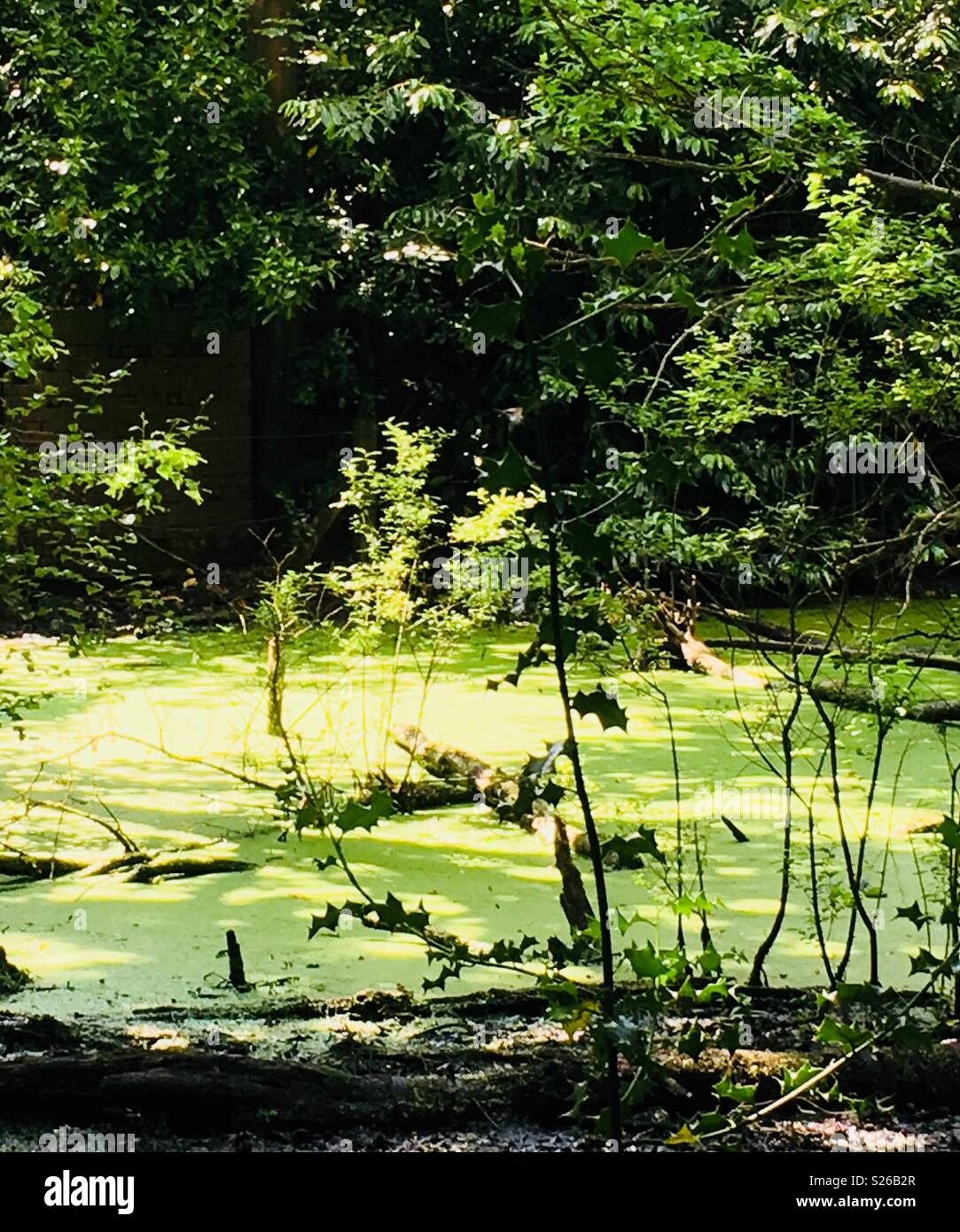 Bramhall park hi-res stock photography and images - Alamy