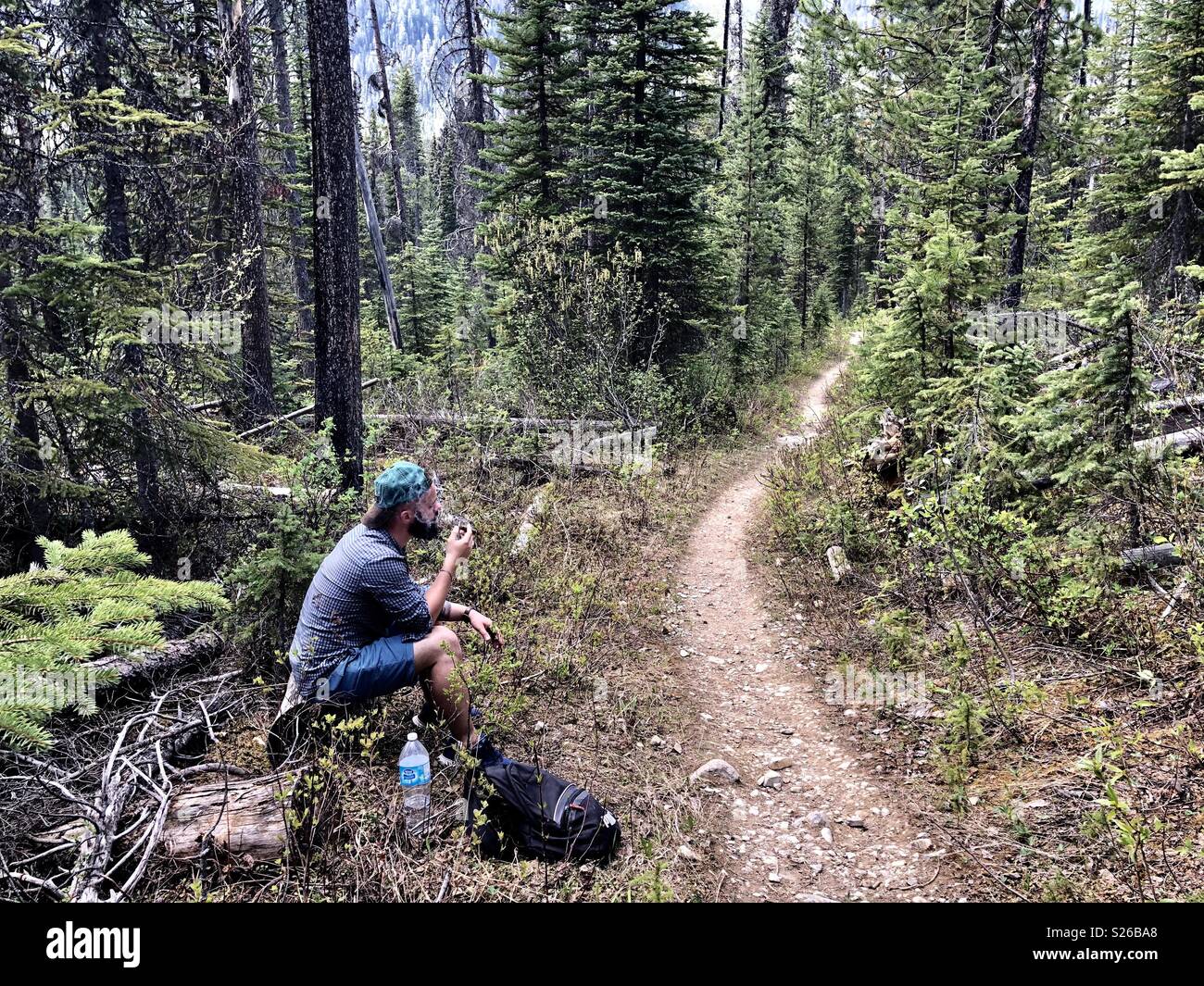 Relaxing walk in forest Stock Photo - Alamy