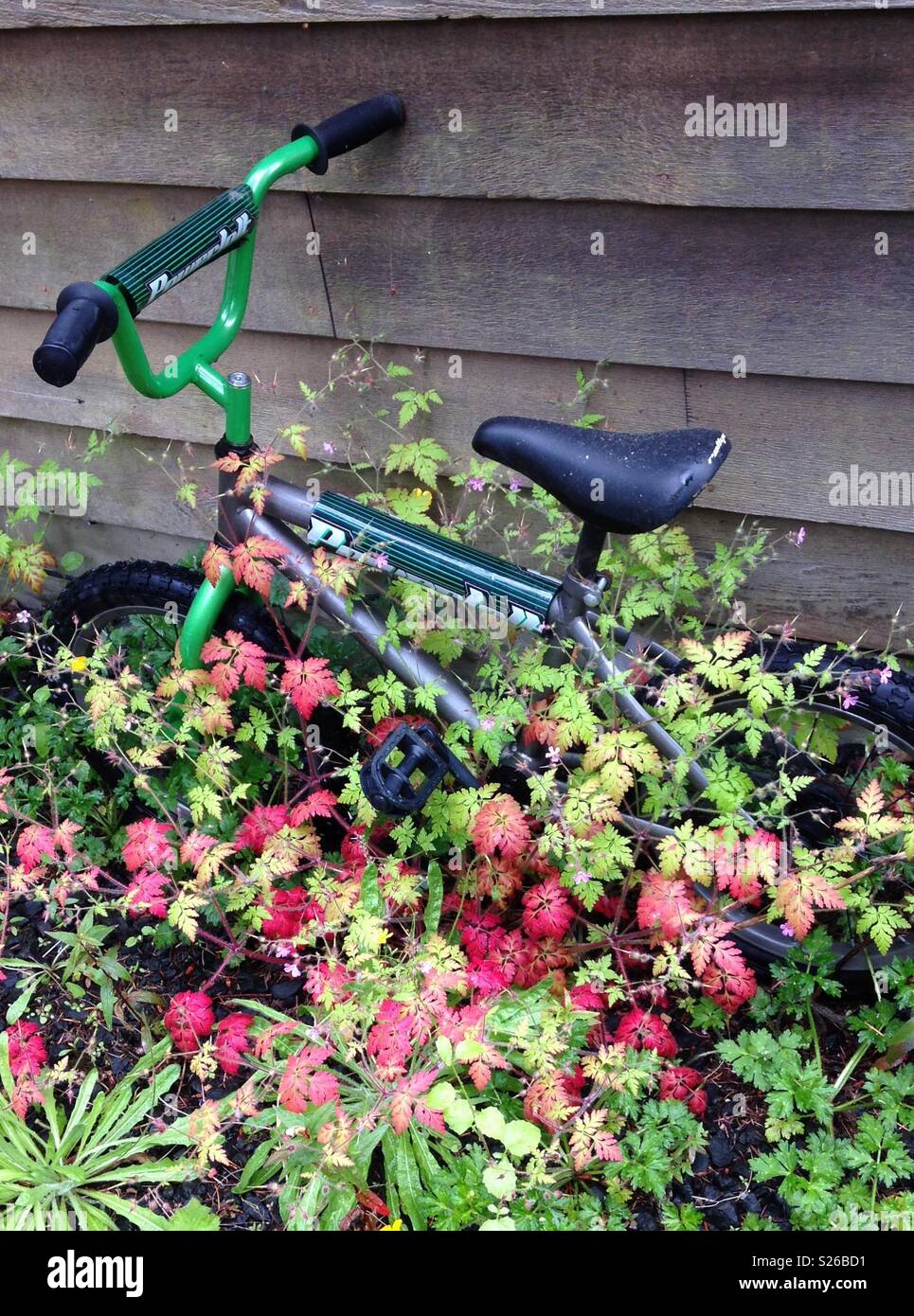 Childs unused bicycle overgrown with colorful weeds Stock Photo - Alamy