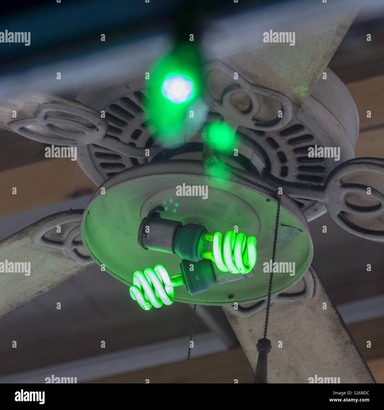 Fan green hi-res stock photography and images - Alamy