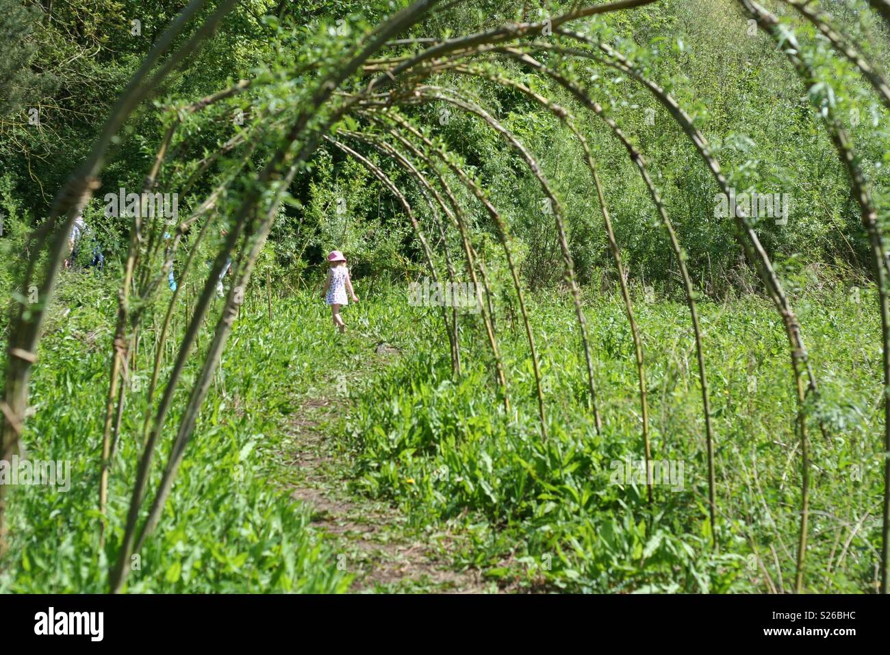 Through the hoop out for a walk Stock Photo - Alamy
