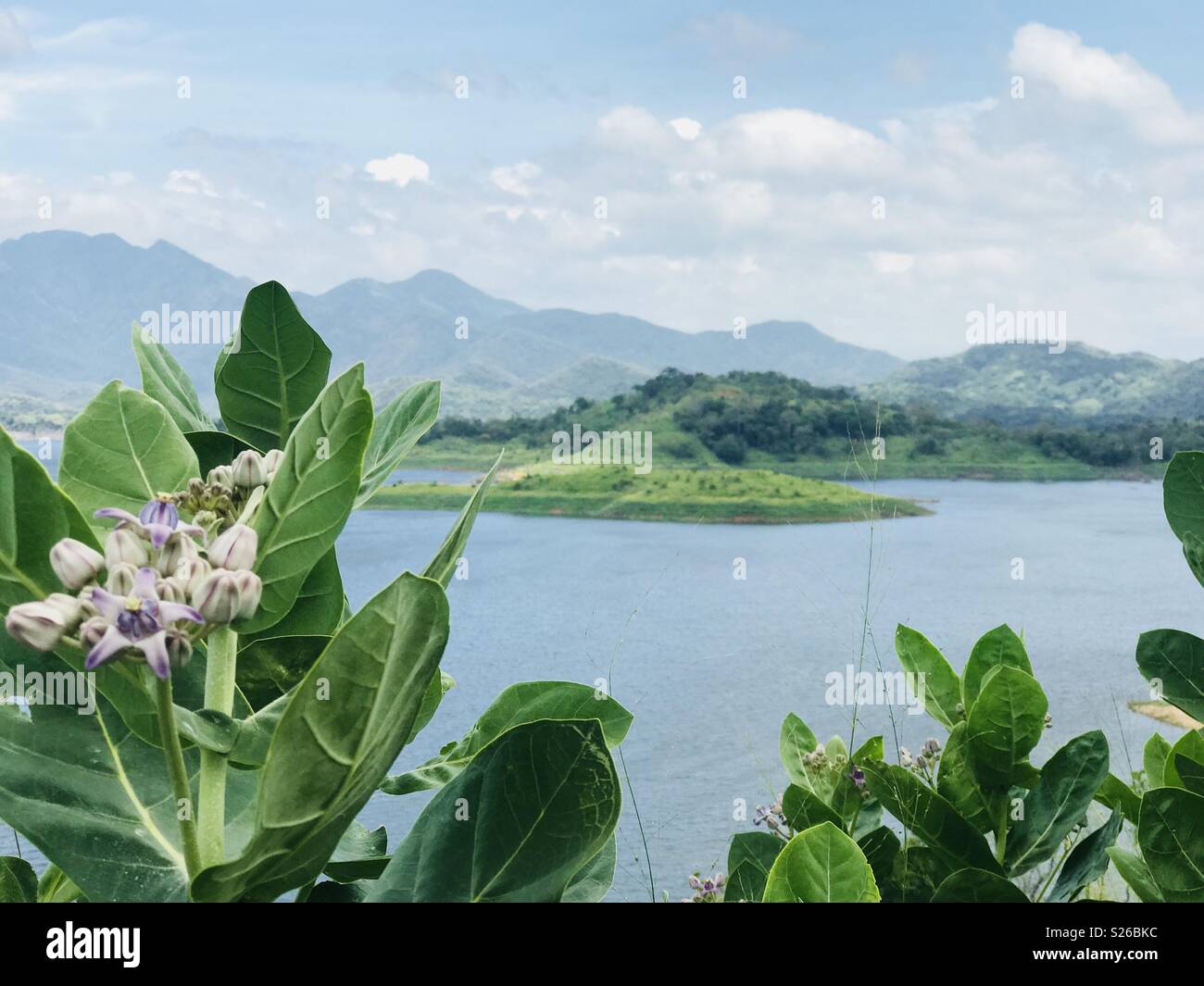 Moragahakanda hi-res stock photography and images - Alamy