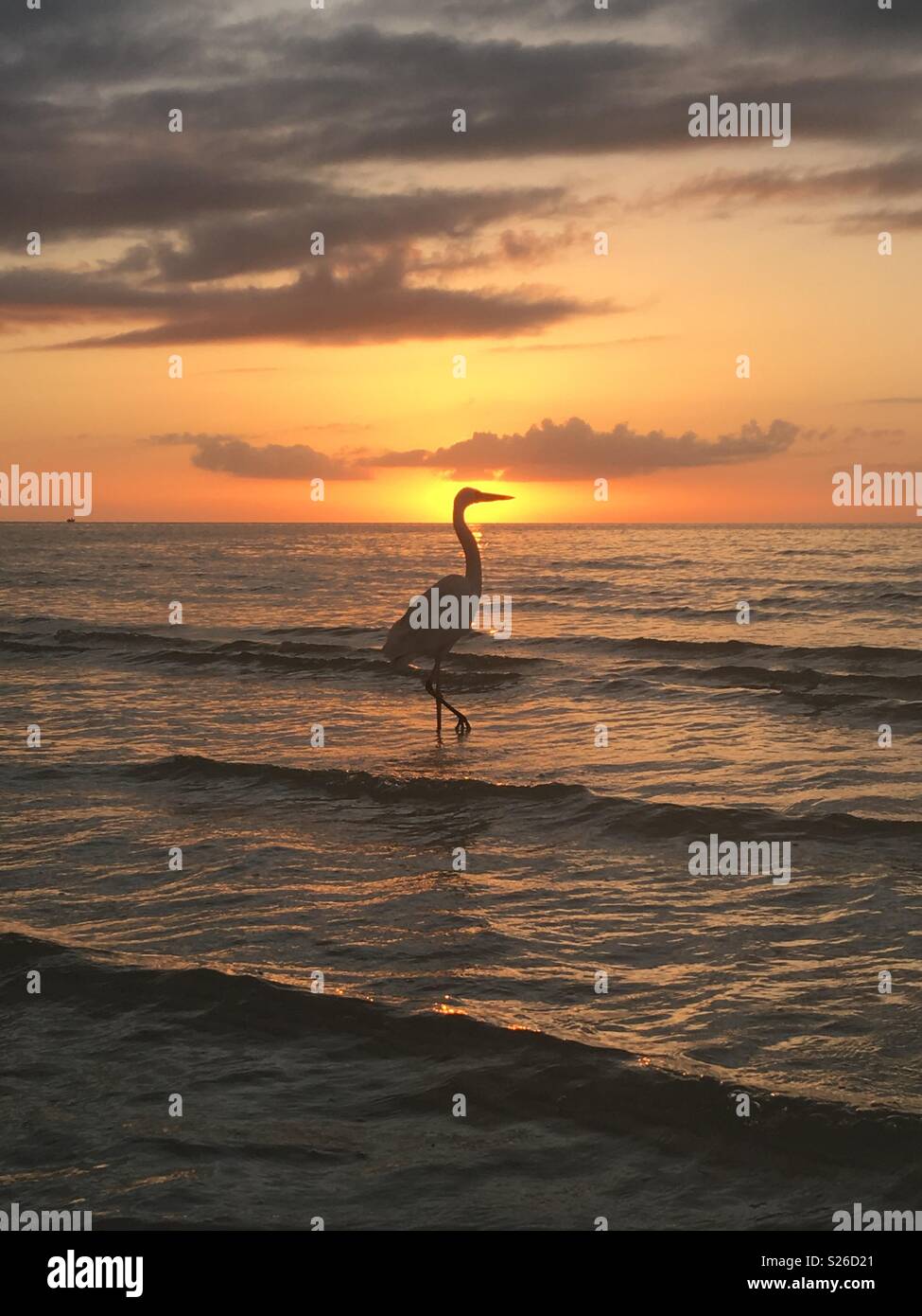 Isla holbox hi-res stock photography and images - Alamy