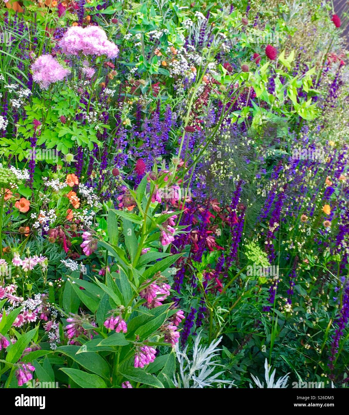 Assorted flower garden at Chelsea Flower Show Stock Photo - Alamy