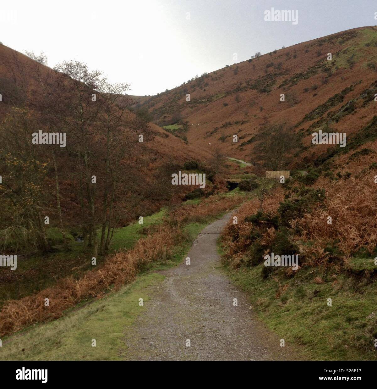 Carding mill valley Stock Photo - Alamy