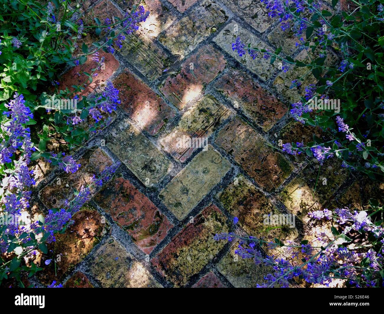 Herringbone Brick Path Garden High Resolution Stock Photography and ...