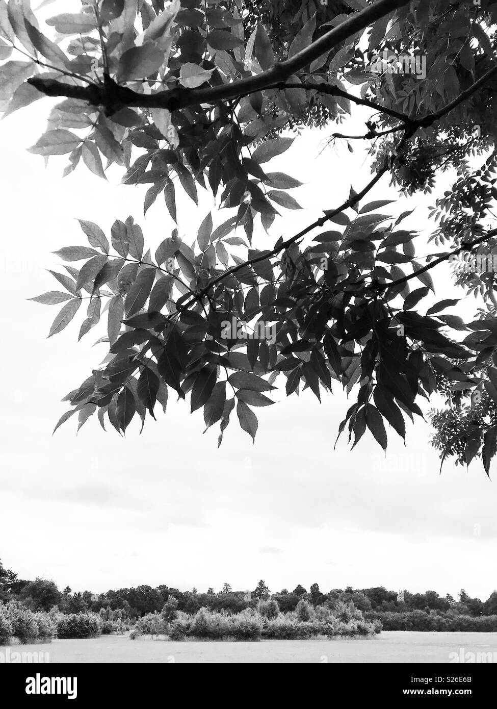 Country under Black and White Stock Photos & Images - Alamy