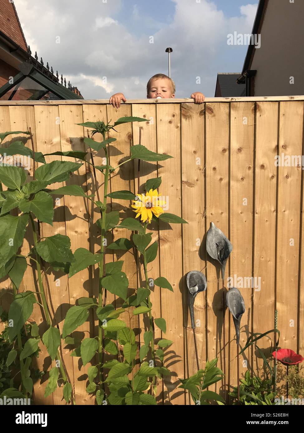 Peebo Stock Photo - Alamy