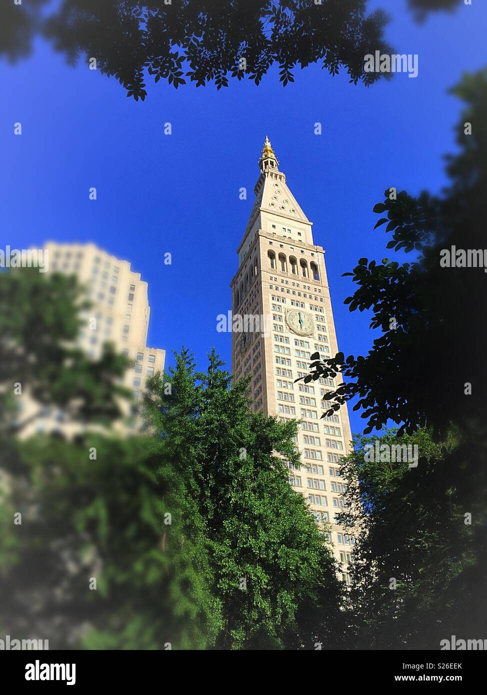 Madison Square Park Tower High Resolution Stock Photography and Images ...