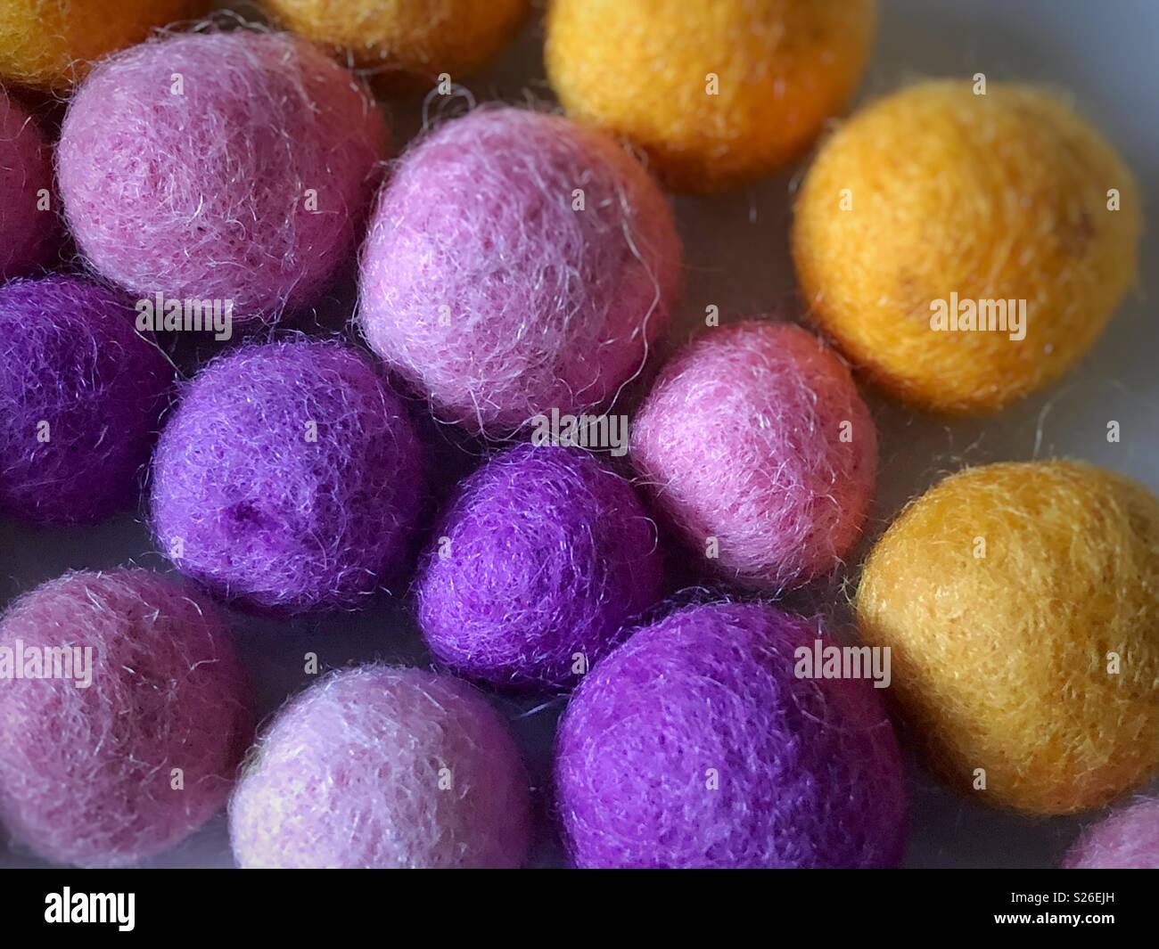 Purple and yellow color hi-res stock photography and images - Alamy