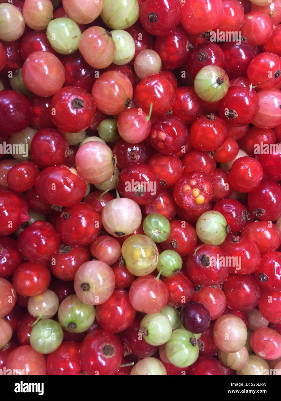 Berry nice selection Stock Photo - Alamy