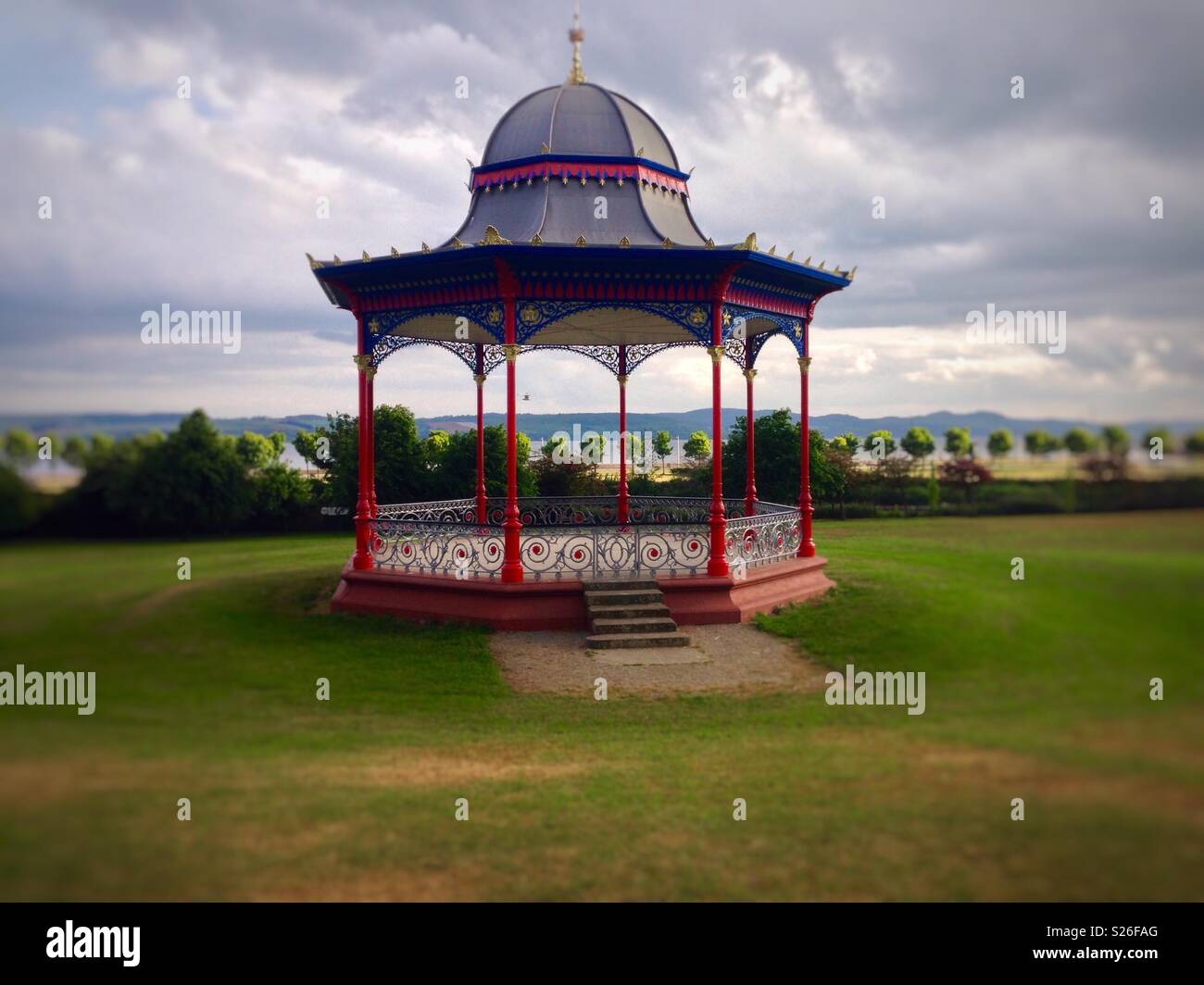 Stand grass hi-res stock photography and images - Alamy