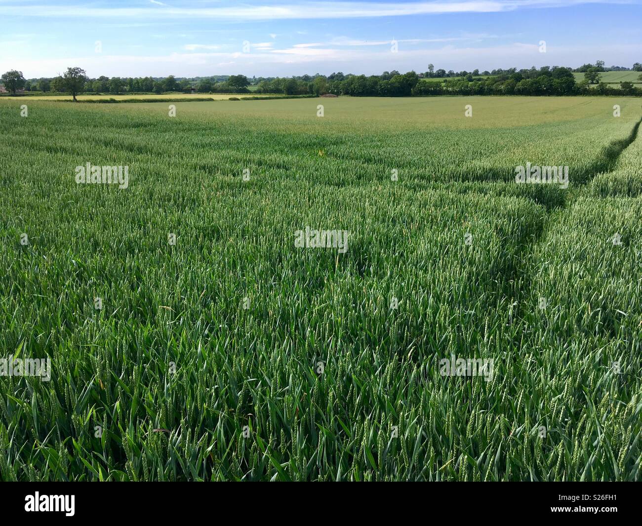 Naseby northamptonshire england hi-res stock photography and images - Alamy