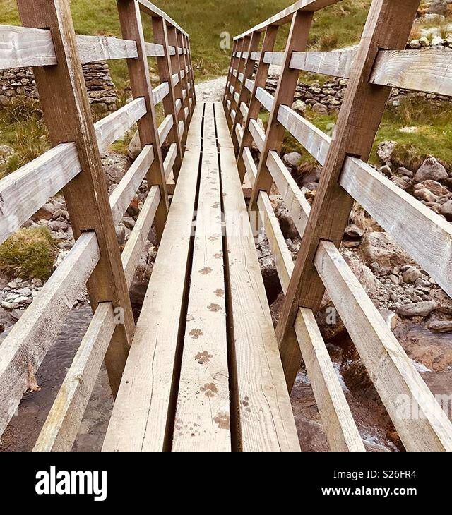 Following dog paw prints over a wooden bridge Stock Photo - Alamy