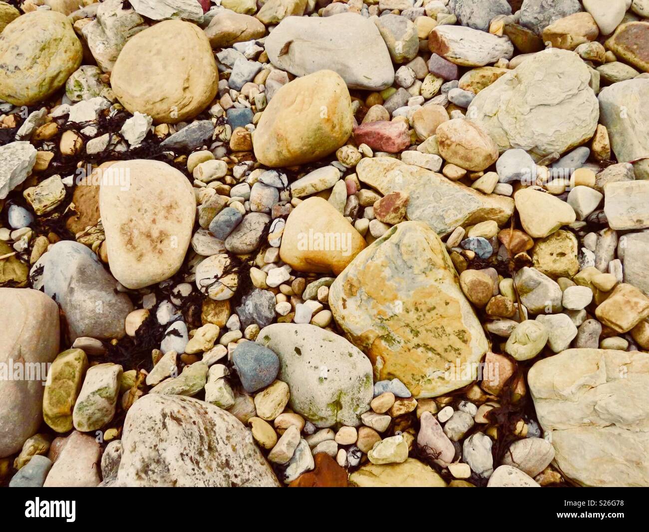 Rocks and stones on the shore Stock Photo - Alamy