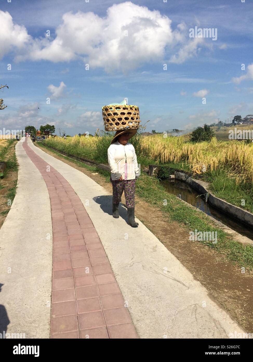 Indonesian rice farmer hi-res stock photography and images - Alamy