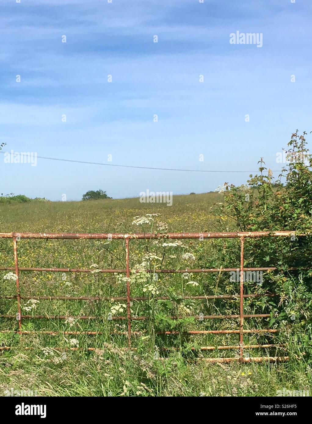 Rusty gate hi-res stock photography and images - Alamy
