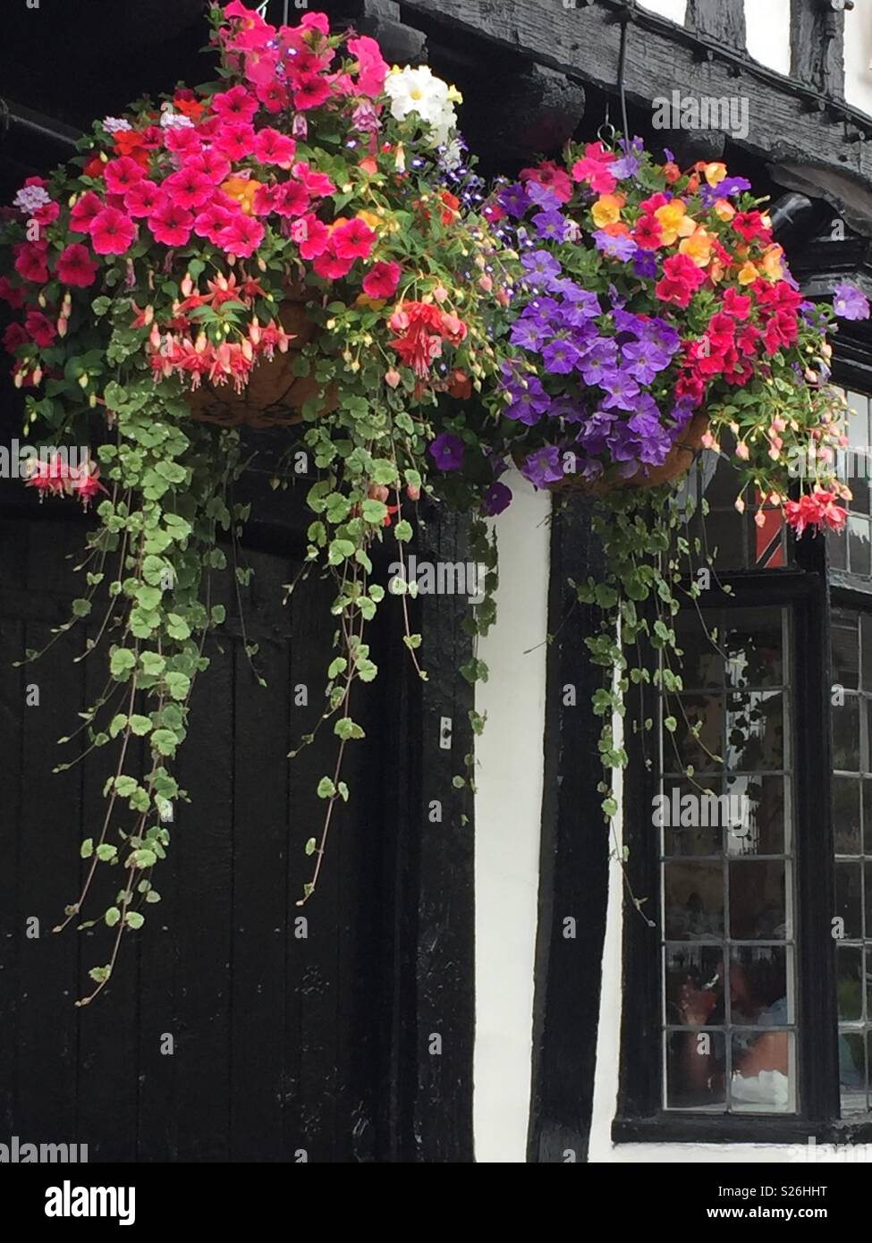 Just hanging around Stock Photo - Alamy