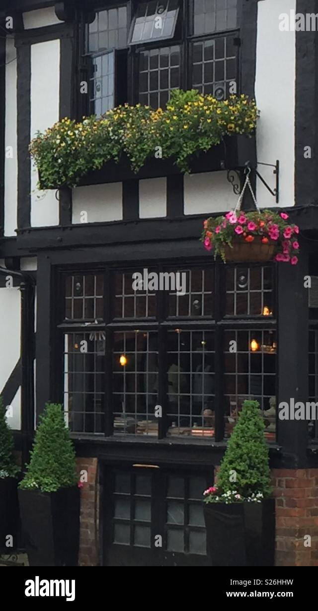 Beautiful flower display Stock Photo - Alamy