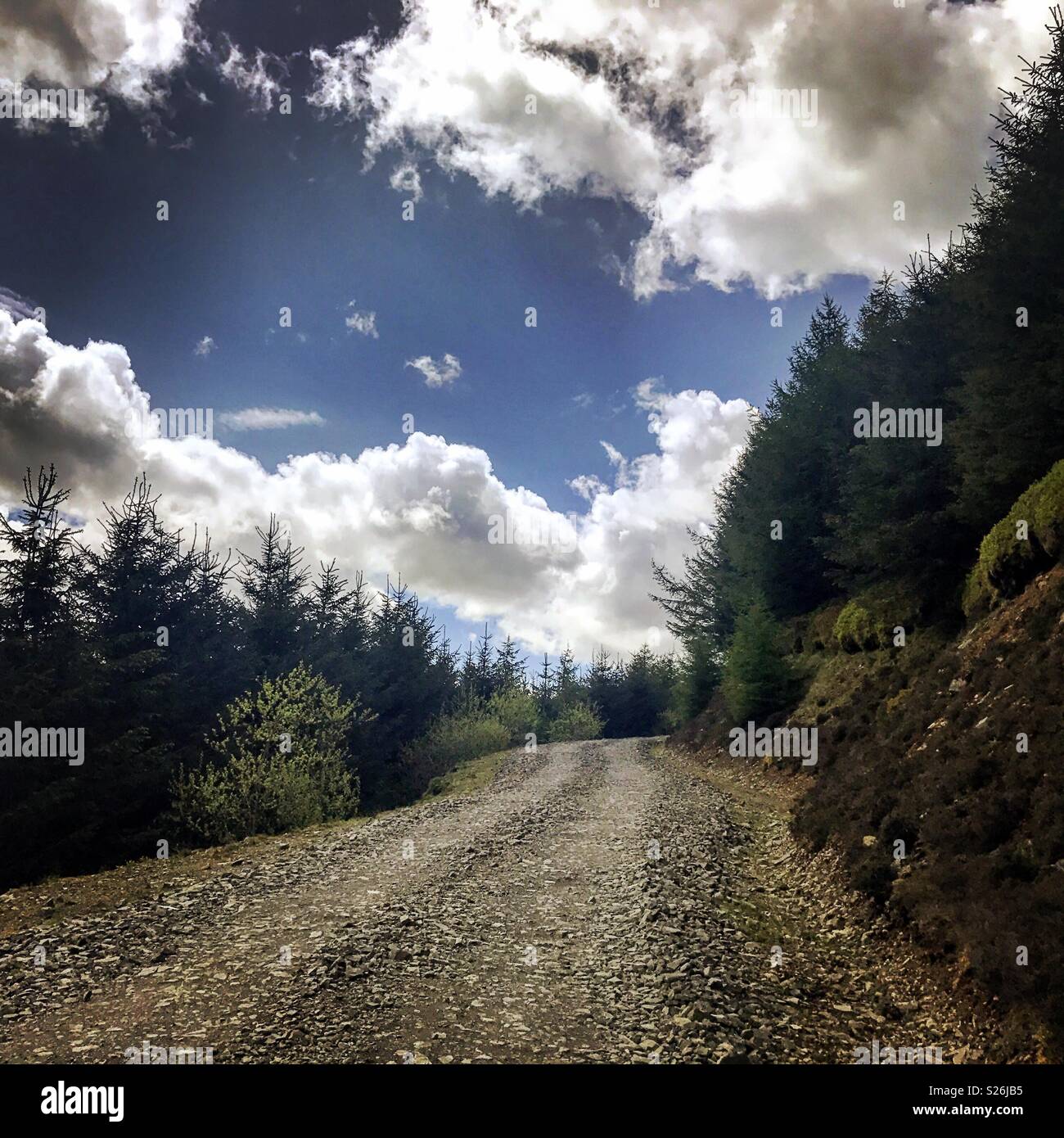 Fire road hi-res stock photography and images - Alamy