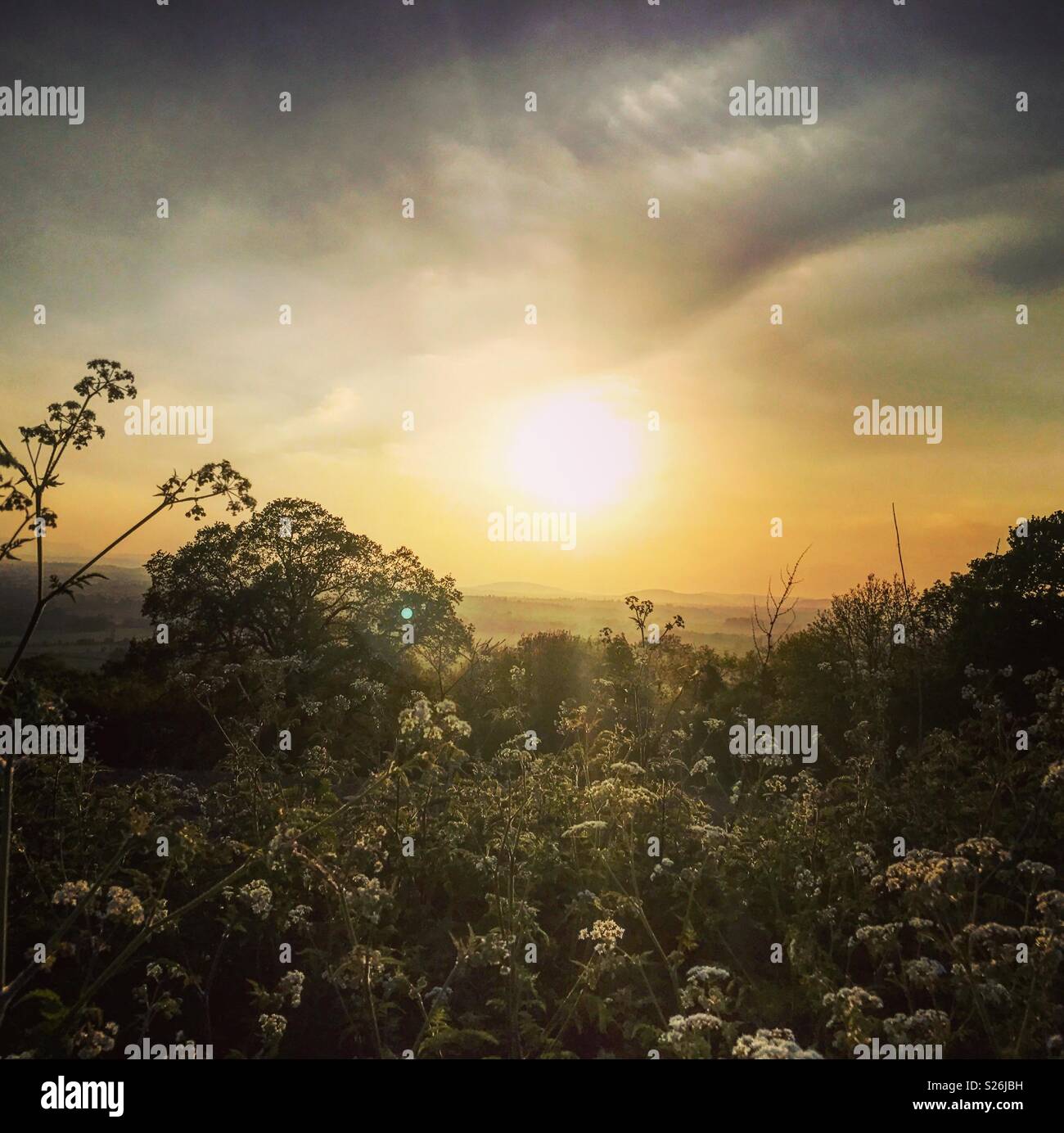 Sunshine and countryside hi-res stock photography and images - Alamy