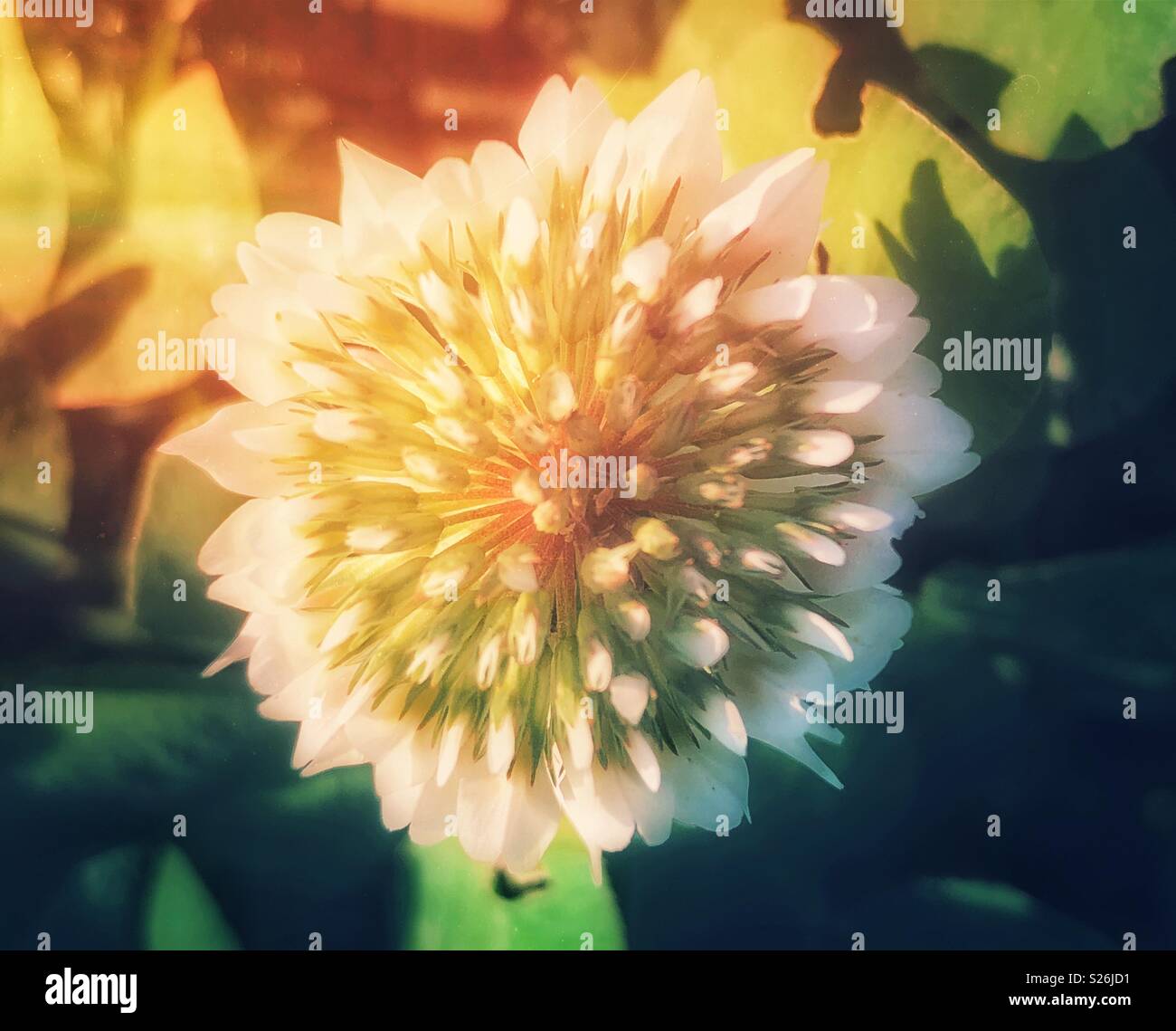 Dreamy lighting hi-res stock photography and images - Alamy