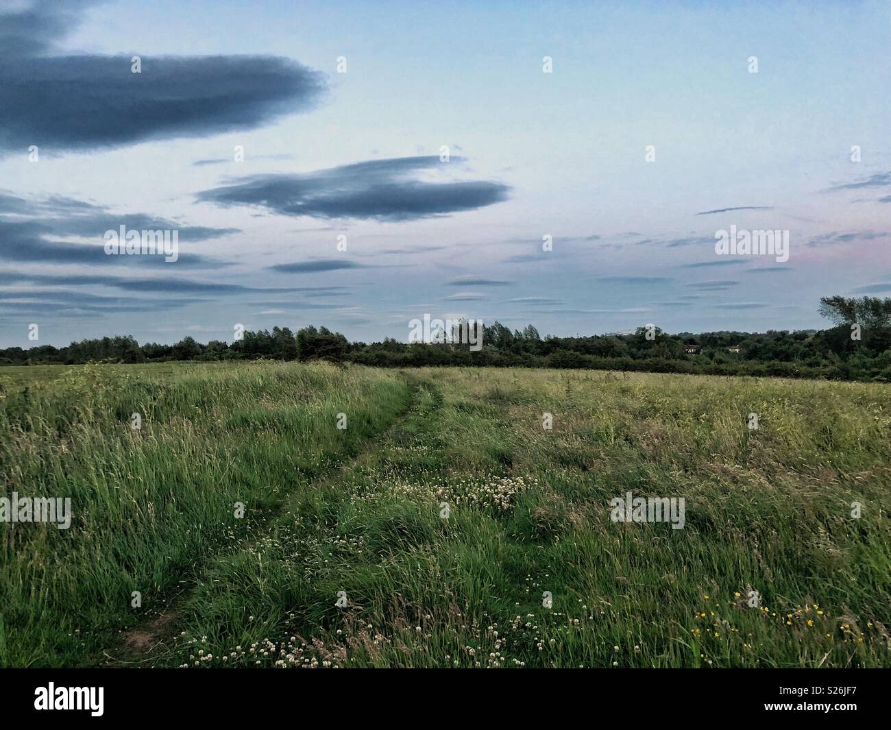 Summer evening walk hi-res stock photography and images - Alamy