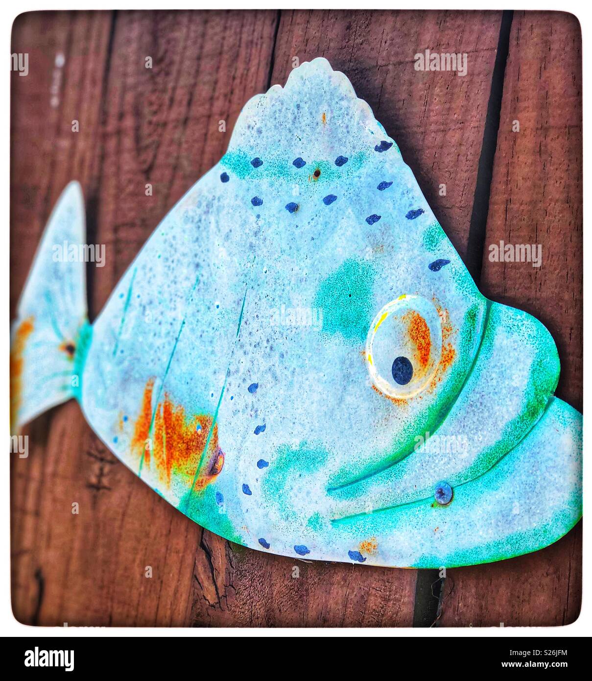 Fish fence hi-res stock photography and images - Alamy