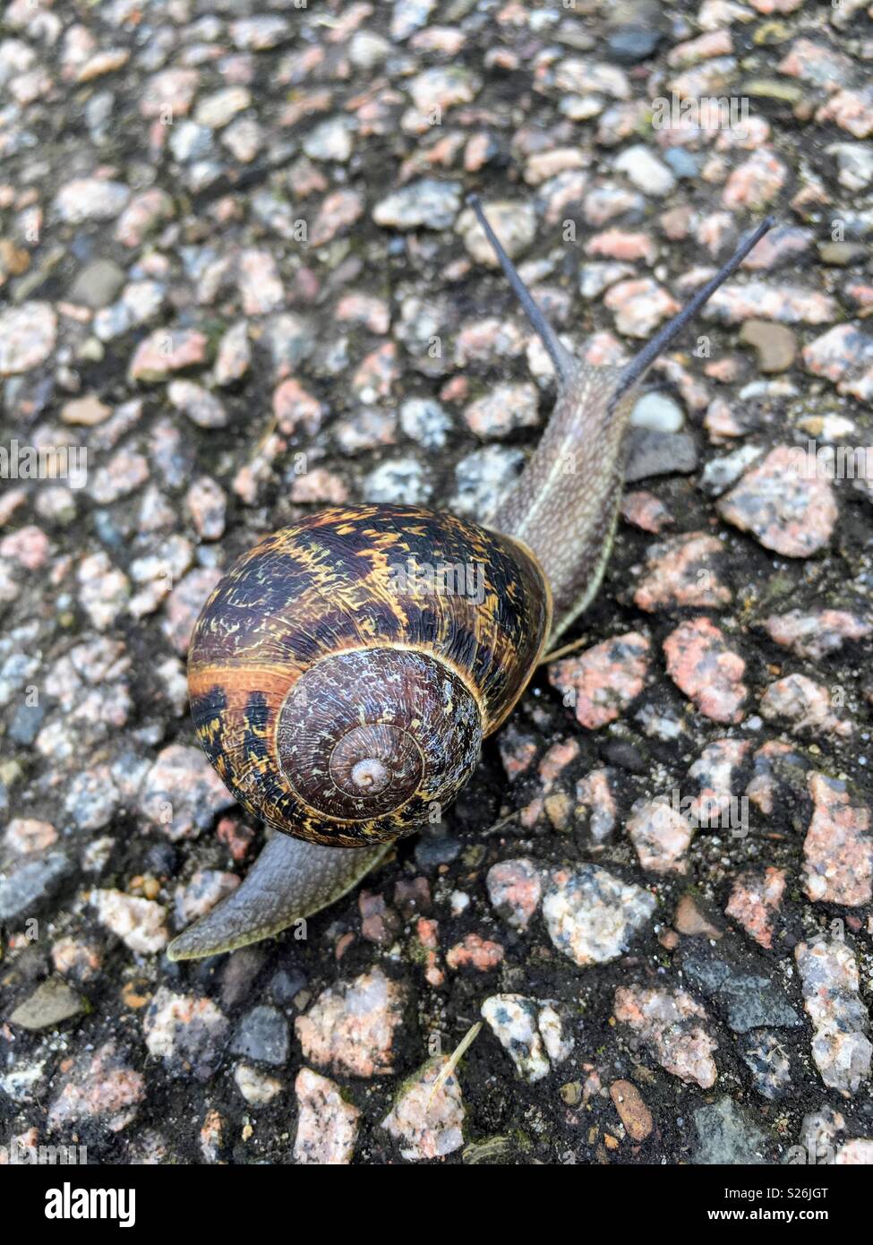 Smooth colourful stones hi-res stock photography and images - Alamy