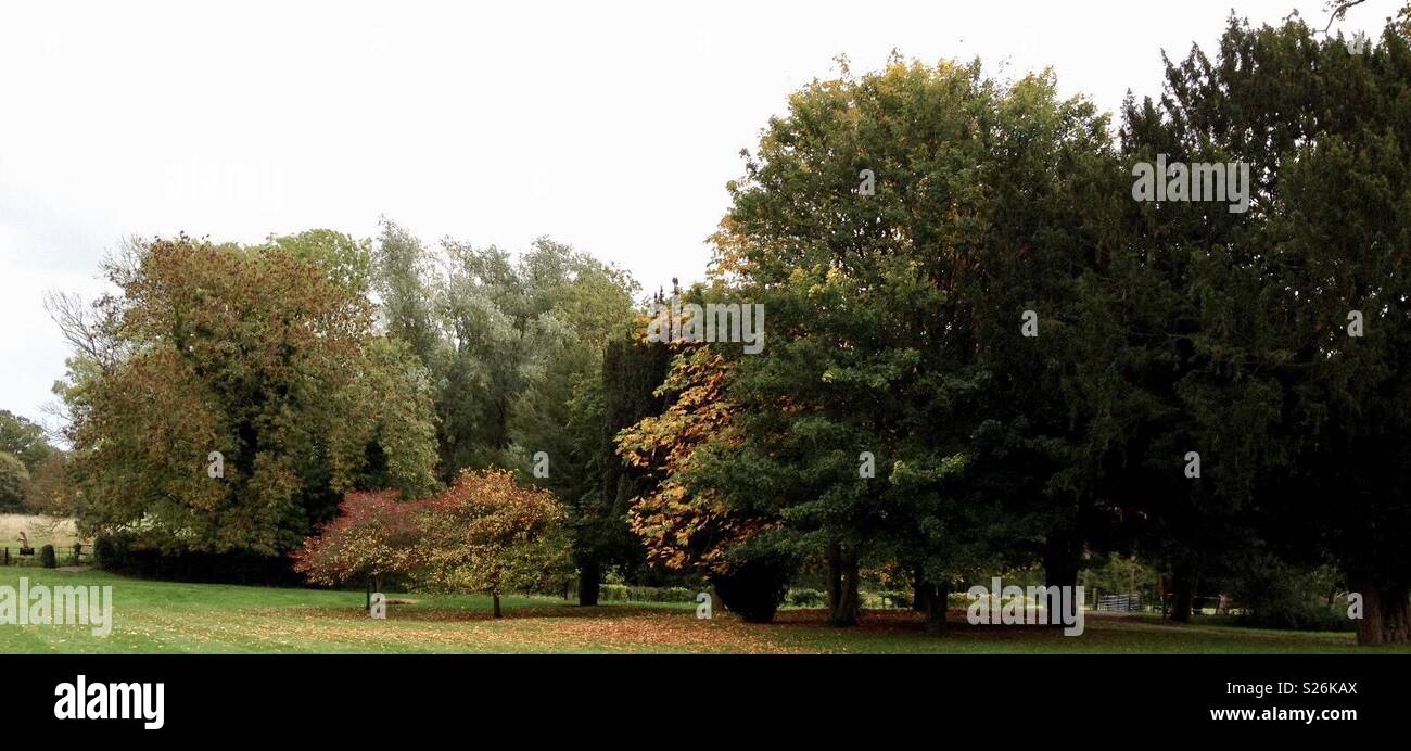Charlecote Park national trust Stock Photo - Alamy