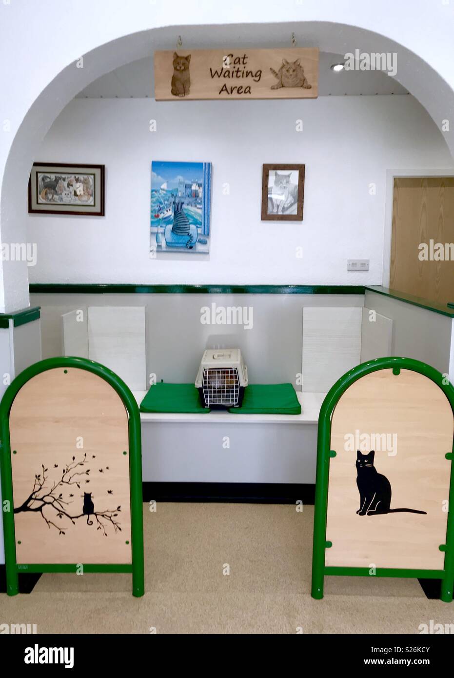 At the vets - cat waiting area - “Next” Stock Photo - Alamy
